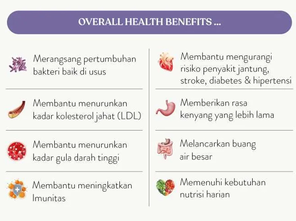 Hotto Official – Hotto Official